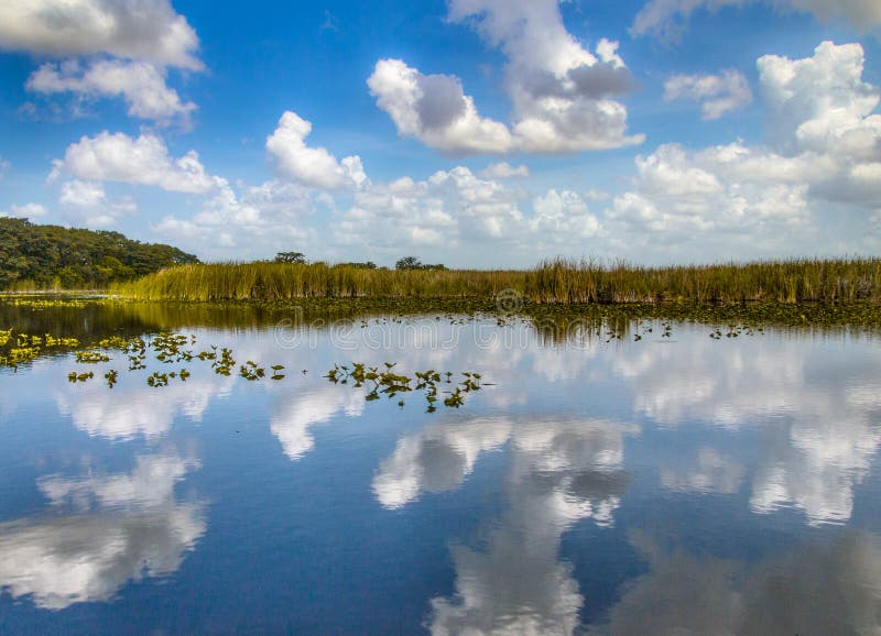 View of Everglades Marsh with Reflected Cloud Sky Stock Image - Image ...