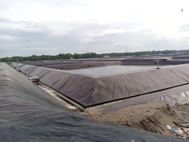 View of the Expansive Shrimp Pond by the Beach. Stock Photo - Image of ...