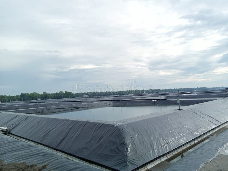 View of the Expansive Shrimp Pond by the Beach. Stock Image - Image of ...