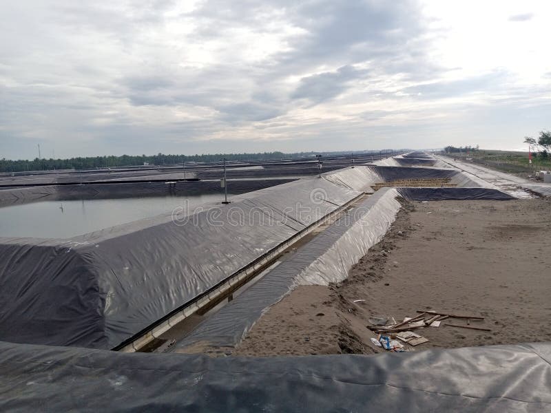 View of the Expansive Shrimp Pond by the Beach. Stock Image - Image of ...