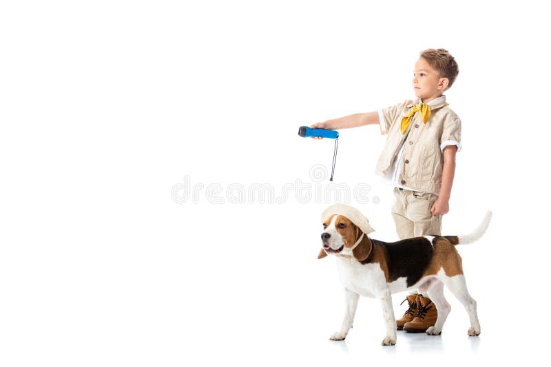Dog Holding Flashlight Stock Photos - Free & Royalty-Free Stock Photos ...