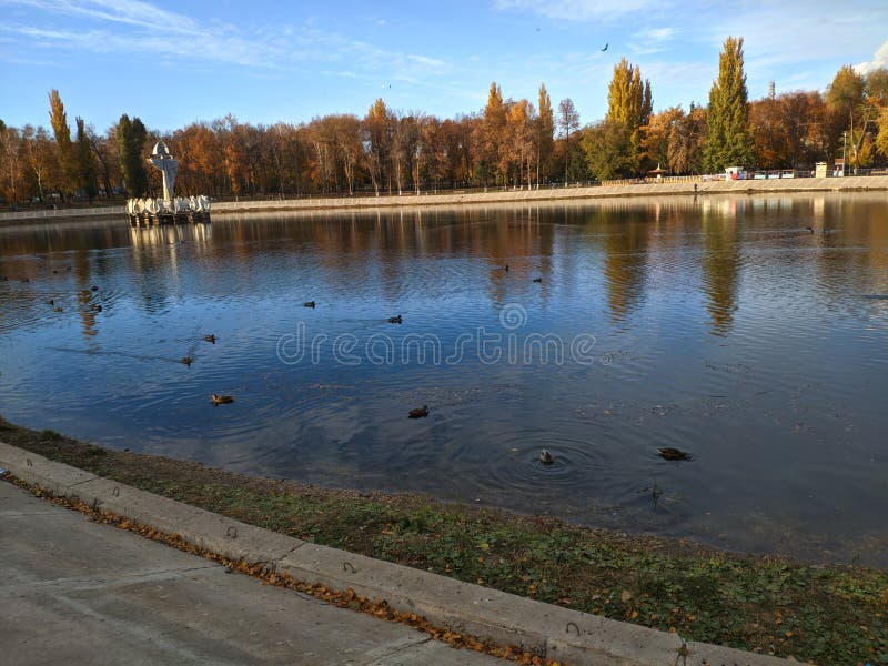A View of Extraordinarily Beautiful Water Dipping and Green Against the ... A View of Extraordinarily Beautiful Water Dipping and Green Against the ...