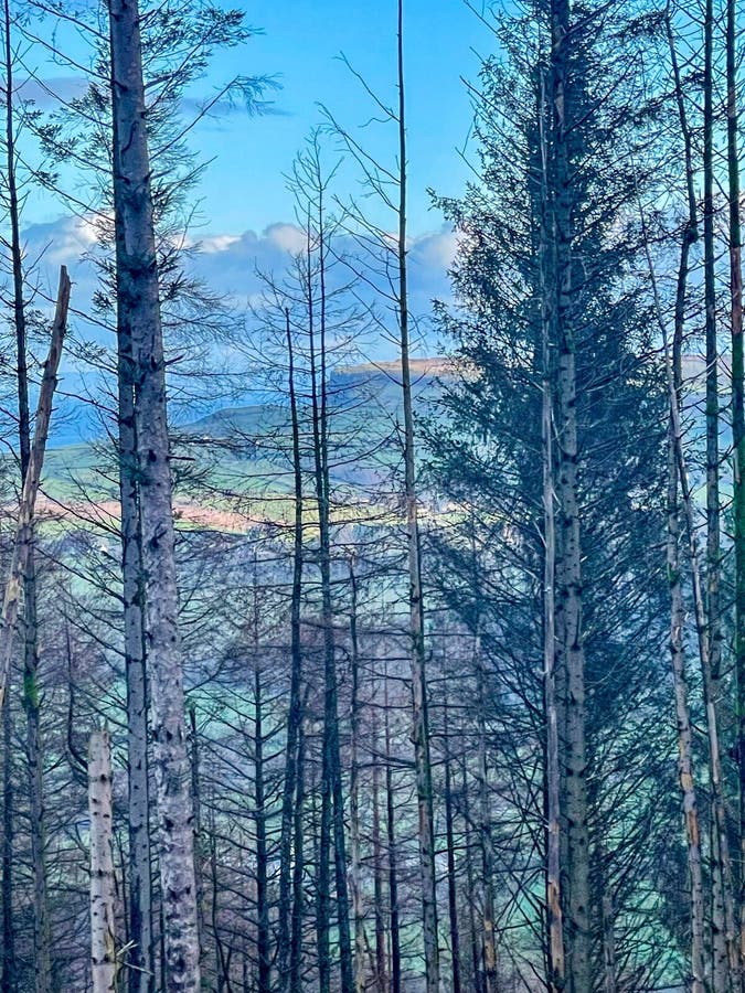 Fairhead Cliffs Stock Photos - Free & Royalty-Free Stock Photos from ...