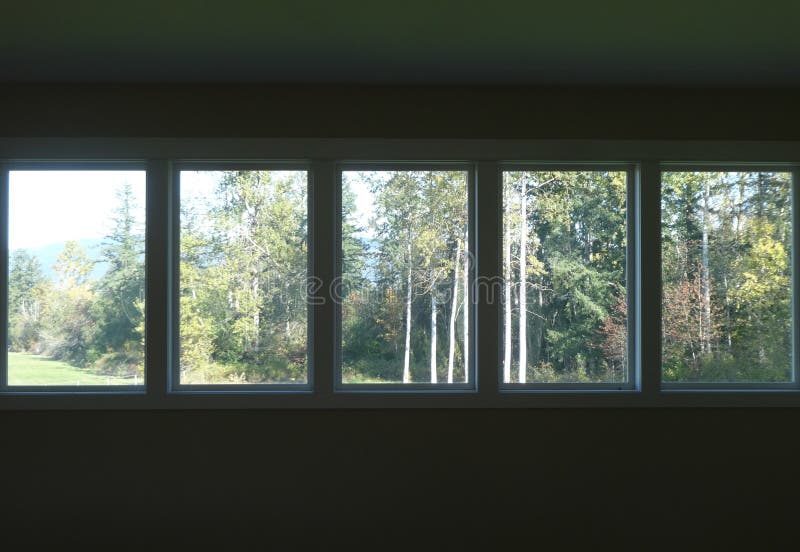 A Forest View from the High Window Stock Photo - Image of decoration ...