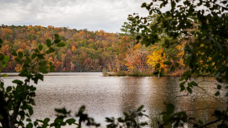 View of Fall Leaves on Lake 02 Stock Image - Image of forest, cloud ...