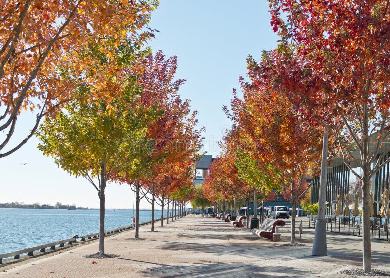 View fall season in city stock image. Image of building - 77724347