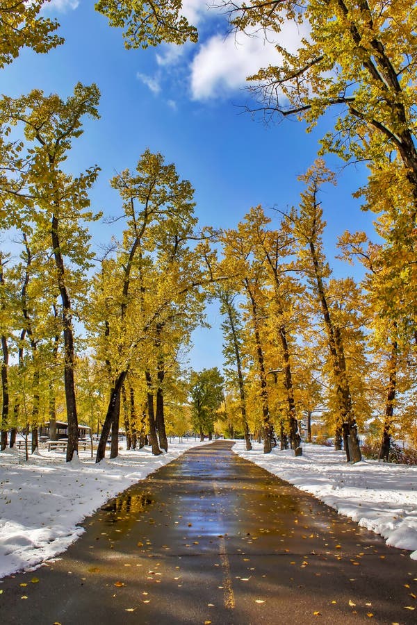 Autumn and Winter Park Pathway Stock Image - Image of canada, views ...