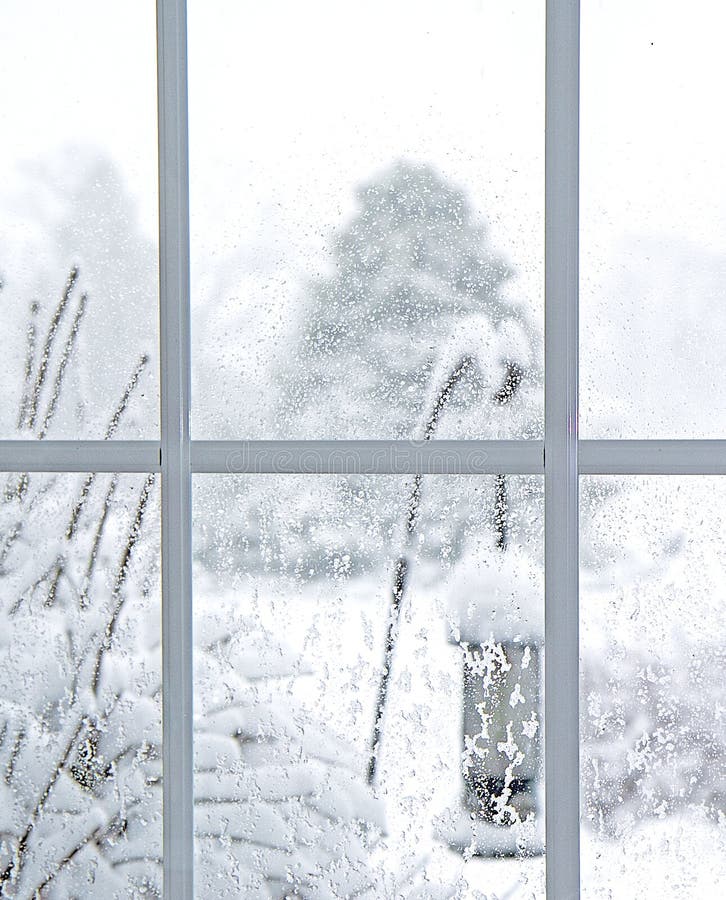 View of Fallen Snow on Plants and Trees through Window Pane Stock Image ...