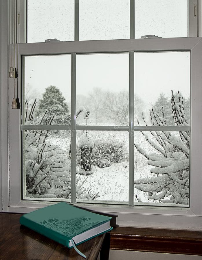 View of Fallen Snow on Plants and Trees through Window Pane Stock Photo ...