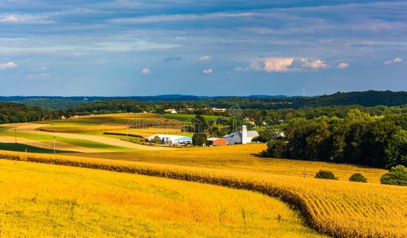 View of Farm Fields and Rolling Hills from a Hill in Rural York Stock ...