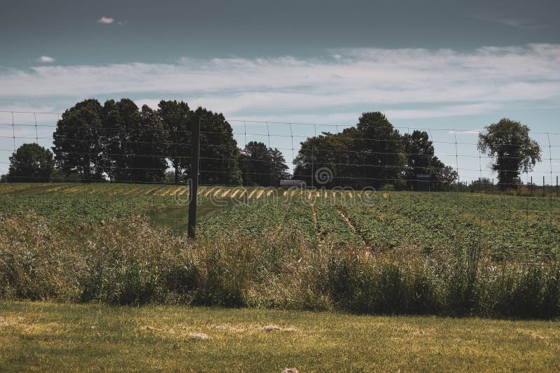 A view of the farm stock photo. Image of clouds, rows - 191565858