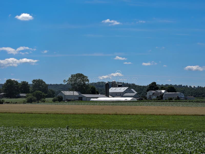View of a Farm with Silos and Barn in the Middle of Freshly Planted ...