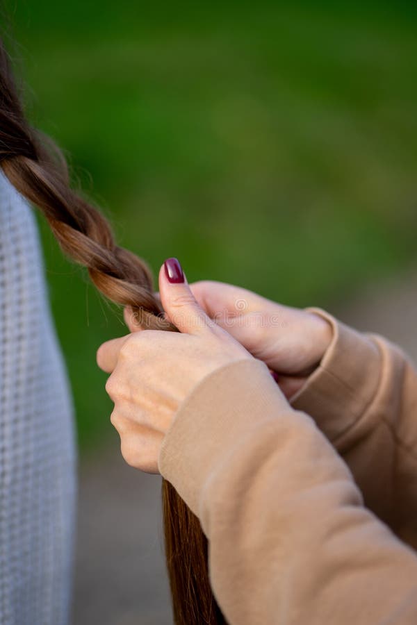 View of Female Hands Weaving a Braid from Long Female Hair Stock Image ...