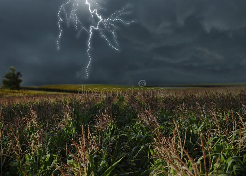 View of Field and Cloudy Sky with Lightning. Thunderstorm Stock Photo ...