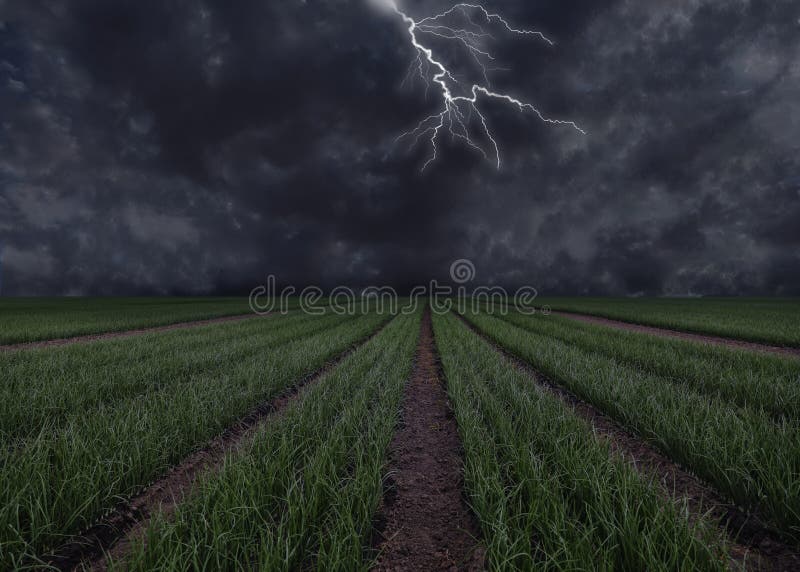 View of Field and Cloudy Sky with Lightning. Thunderstorm Stock Image ...