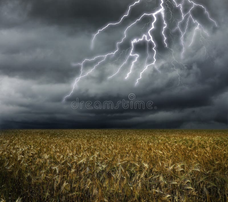 View of Field and Cloudy Sky with Lightning. Thunderstorm Stock Photo ...