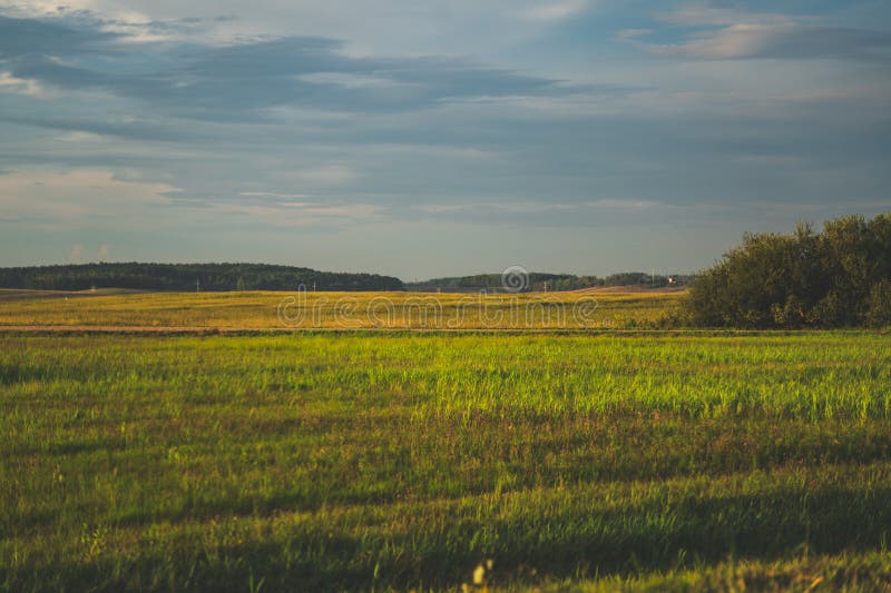 View of the Field in the Evening in the Village. the Clouds Stock Photo ...