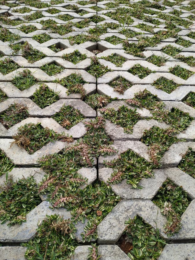 Grass Paving Enables the Strengthening of Surfaces and at the Same Time ...