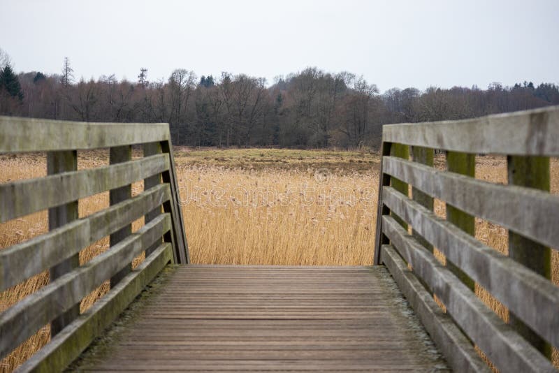 View of the Field from the Wooden Bridge. Stock Photo - Image of meadow ...
