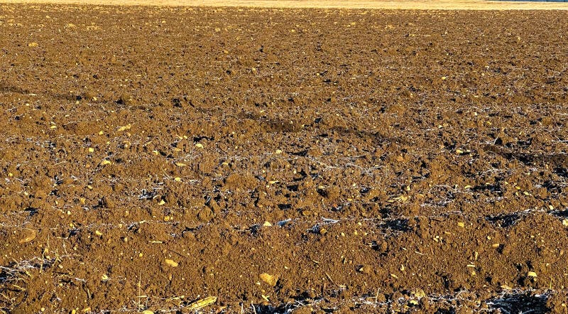 View of Fields in Early Spring after Harvest, Brown Plowed Fields in ...