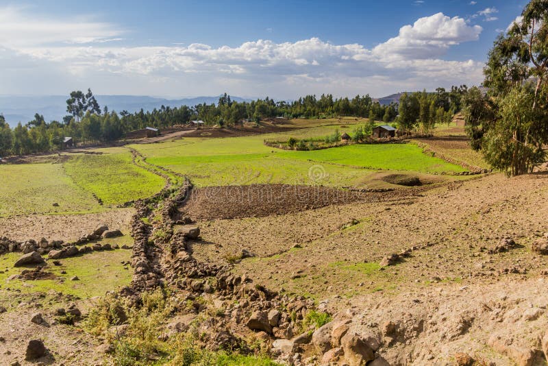 View of Fields Near Lalibela, Ethiop Stock Photo - Image of natural ...