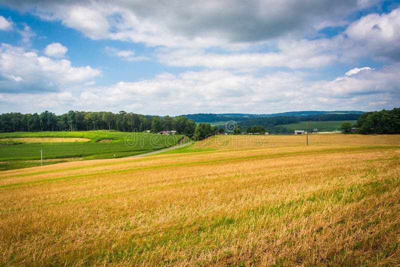 View of Fields in Rural Baltimore County, Maryland. Stock Image - Image ...