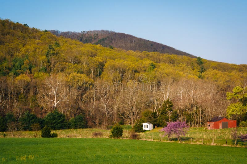 View of Fields and Spring Color in the Rural Shenandoah Valley O Stock ...