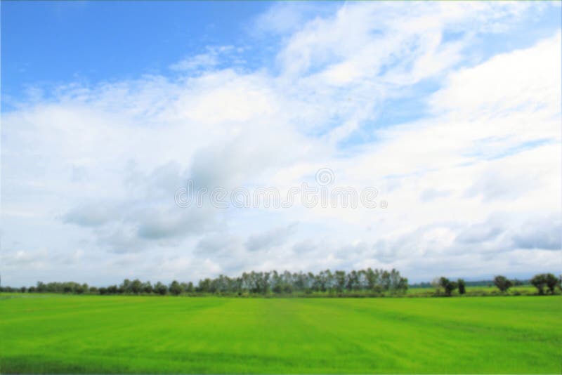 View of Fields Tree Sky To Show the Freshness of Nature. Blur Style for ...