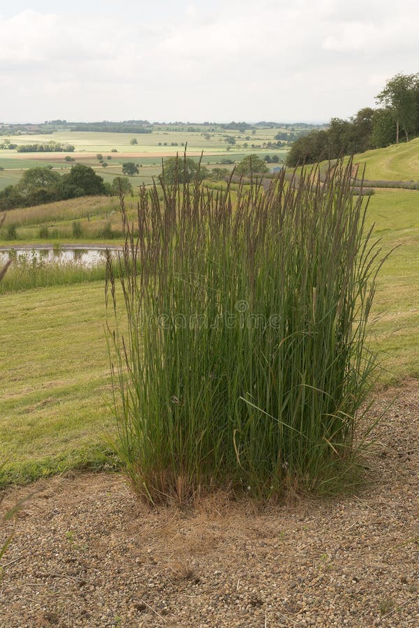 A Landscape View Overlooking Distant Fields in Yorkshire England Stock ...