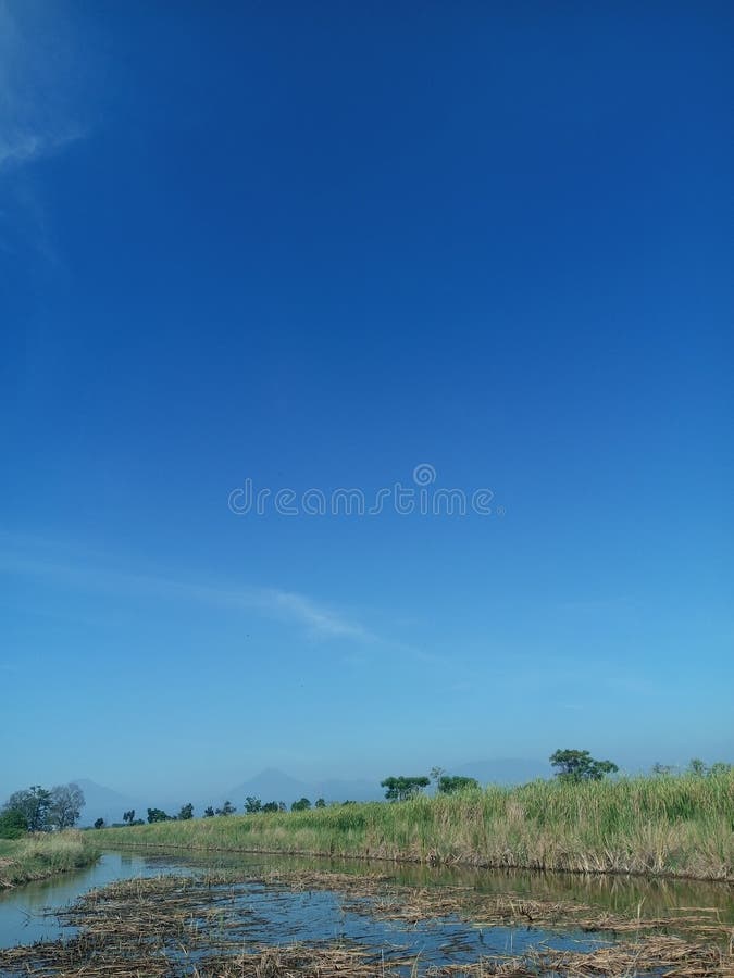 View of Fields in Tropical Monsoon Areas Stock Photo - Image of wind ...