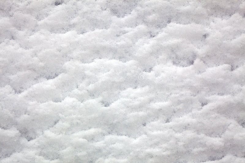 First snow of winter stock photo. Image of winter, textures - 203916716