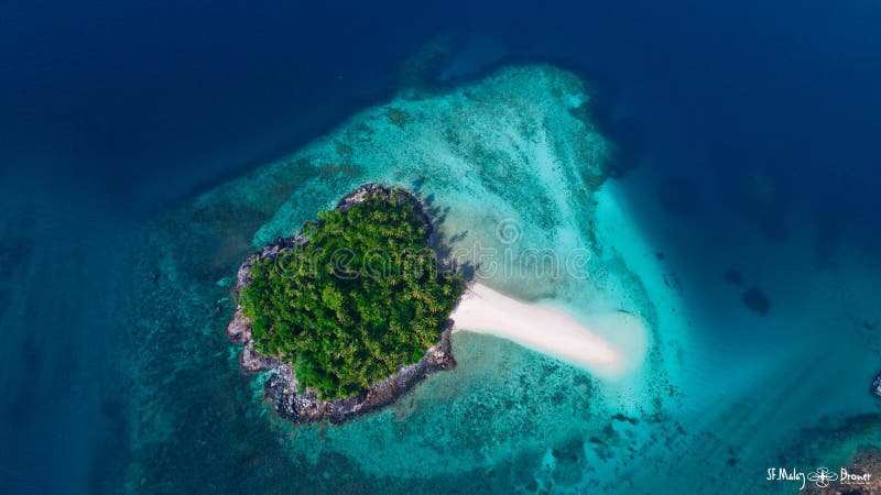 Island stock photo. Image of view, fish, island, beach - 117555000