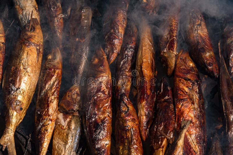 Fish smoking in a smoker stock photo. Image of lithuania - 111257030