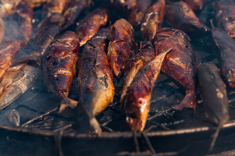 A View of the Fish Smoking Process Stock Image - Image of home, food ...