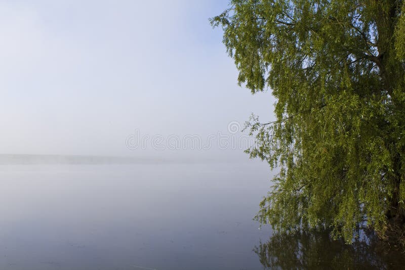 View from a fishing lake stock image. Image of reflection - 11396295