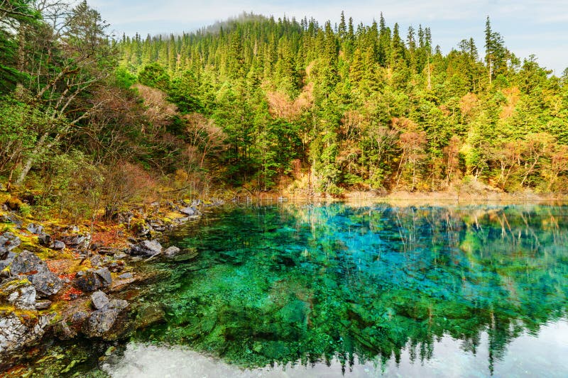 View of the Five Coloured Pool (the Colorful Pond Stock Image - Image ...