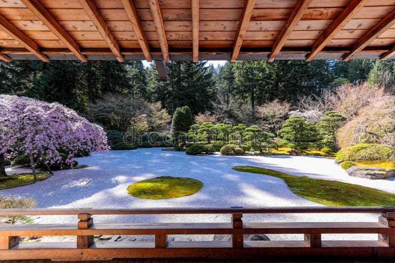 View at Flat Sand Landscape and Blossoming Cherry Tree Stock Photo ...