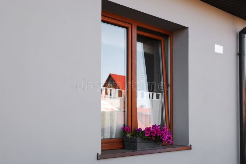 View of Flower Box on Window Sill Outdoors Stock Photo - Image of bloom ...