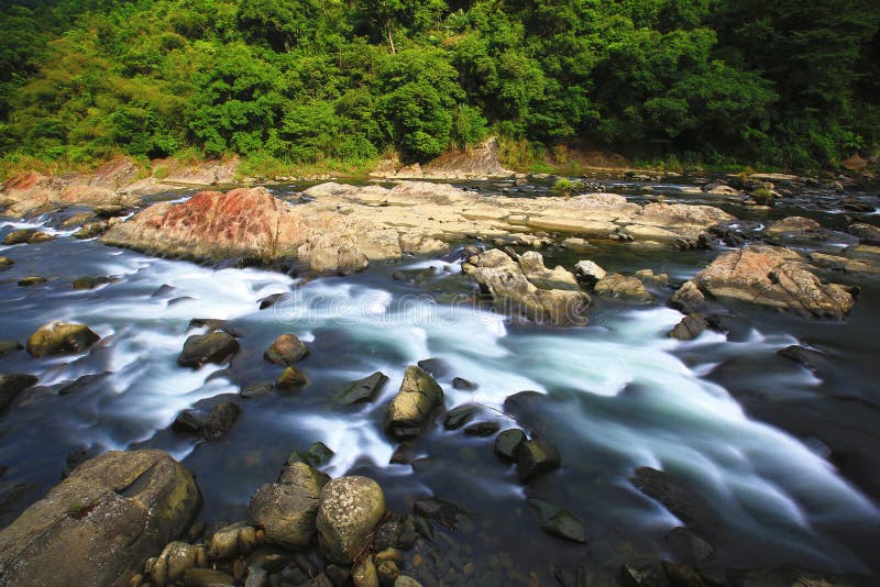 The View of Flowing River with Rocks and Green Trees Stock Photo ...