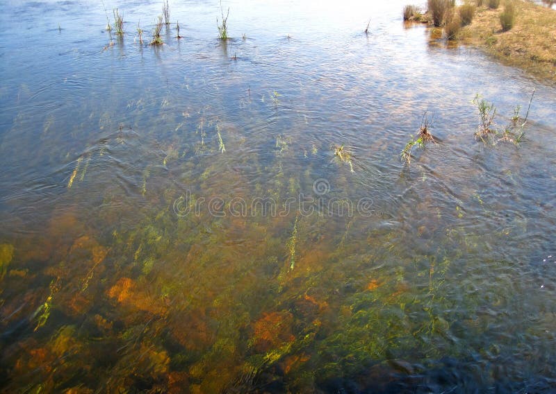 View of Flowing Water in River from Above Stock Image - Image of clear ...