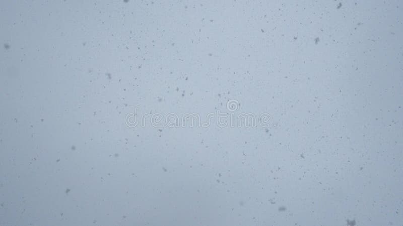 View Fof Snow Falling in Daylight with Overcast Sky in the Background ...