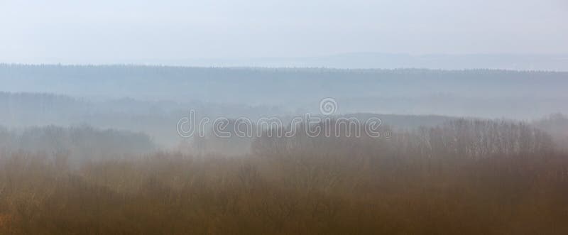 View of the Fog in the Forest with Top Point. Stock Photo - Image of ...