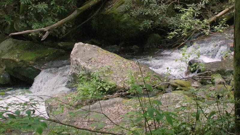 Georgia Anna Ruby Falls a View Following the Flow of the Water Down ...
