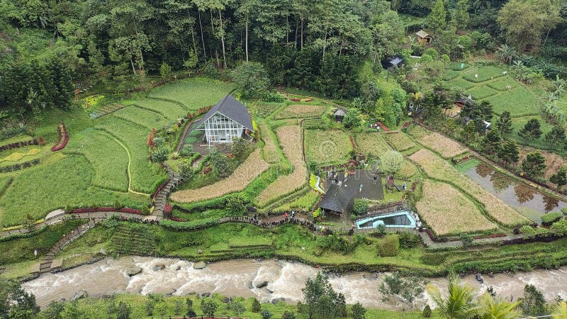 View of the Foot of Mount Gede, Bogor, West Java? Stock Image - Image ...