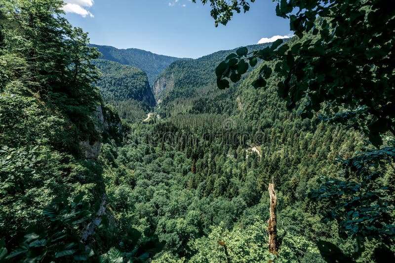 View of the Forest in Abkhazia from the Observation Deck Stock Photo ...