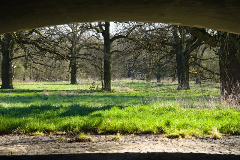 Natural Icy Frame stock image. Image of snow, frame, winter - 62588665