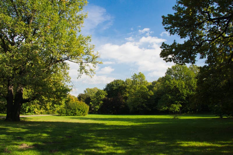 View of Forest Clearing in Day Stock Image - Image of clouds, good ...