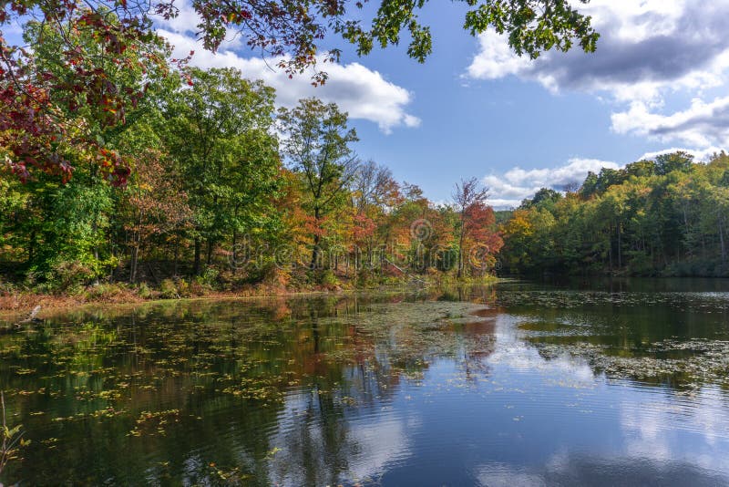 View of Forest in Fall Season with Reflection of Trees in the Lake ...