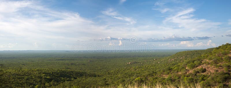 View of the Forest, the Horizon is Angola Stock Photo - Image of ...