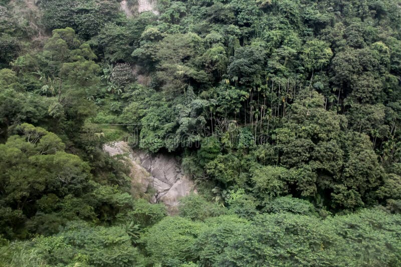 View of Forest and Mountain in National Park in Taiwan Stock Image ...